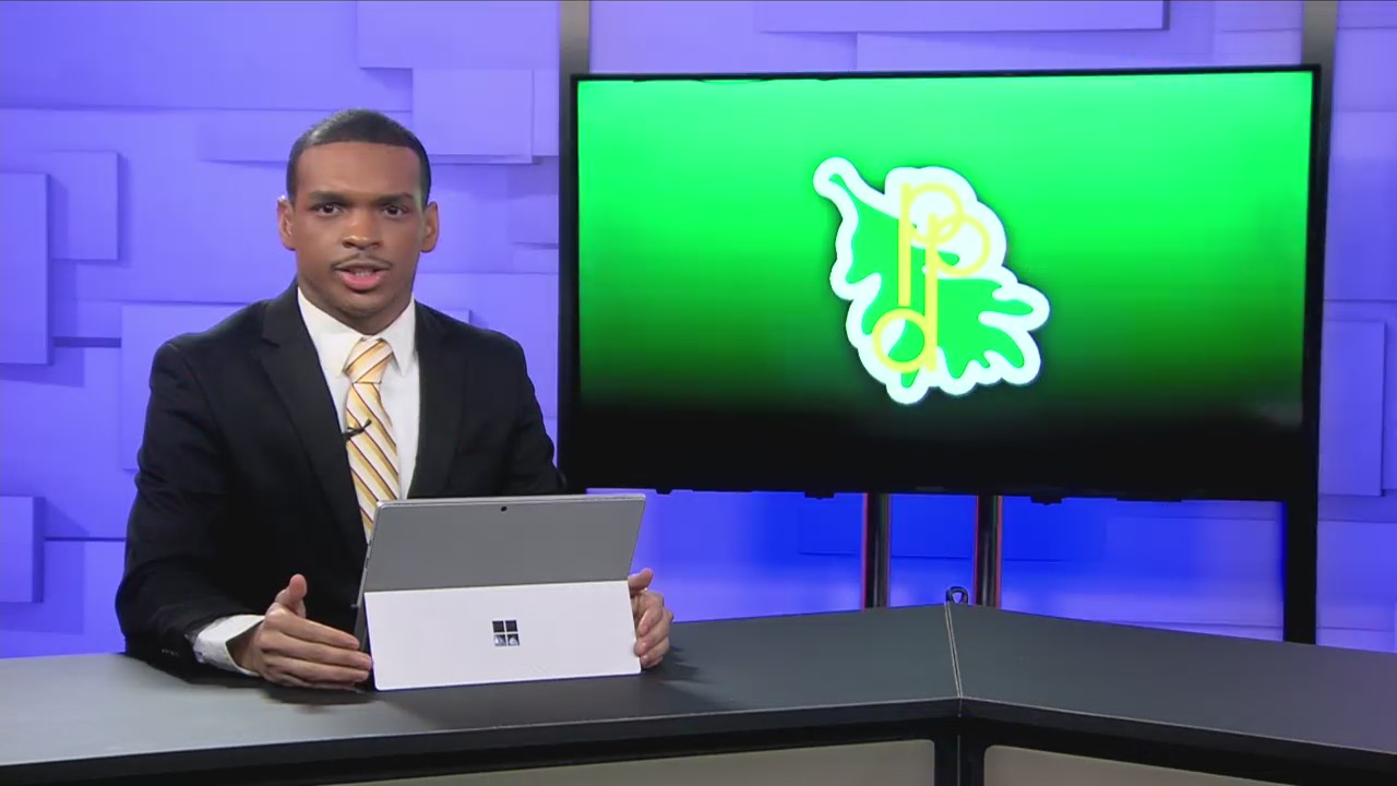 Peoria’s Logan Park and Morton Square Park getting $875,000 makeover ...