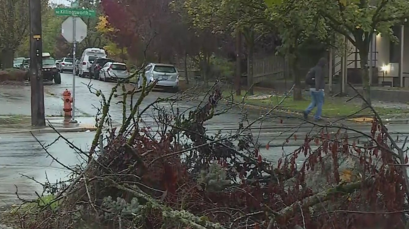 Crews clean up downed trees in Portland metro as storm slams region ...