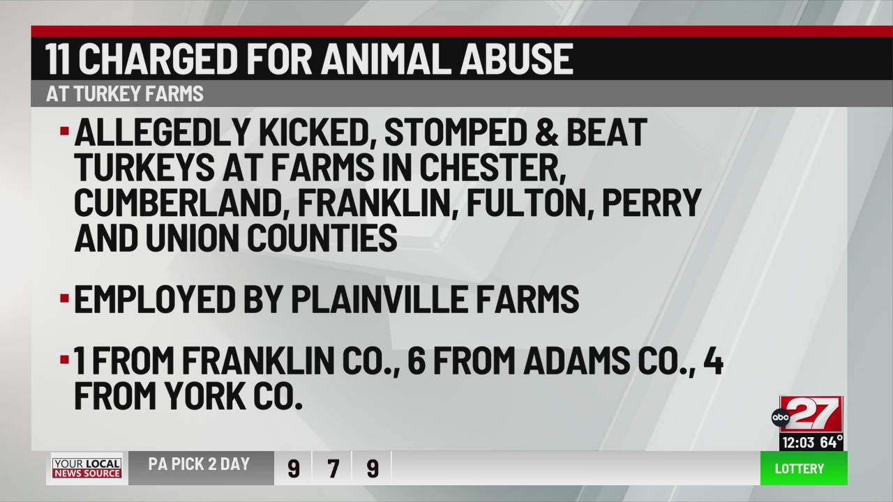11 charged for animal abuse at Pa. turkey farms: PSP – ABC27