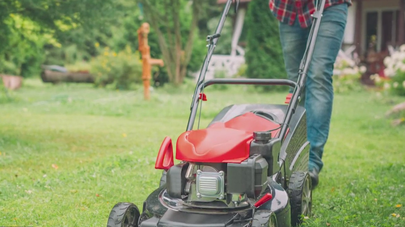 ‘No Mow May: Why experts say you should delay mowing your lawn ...
