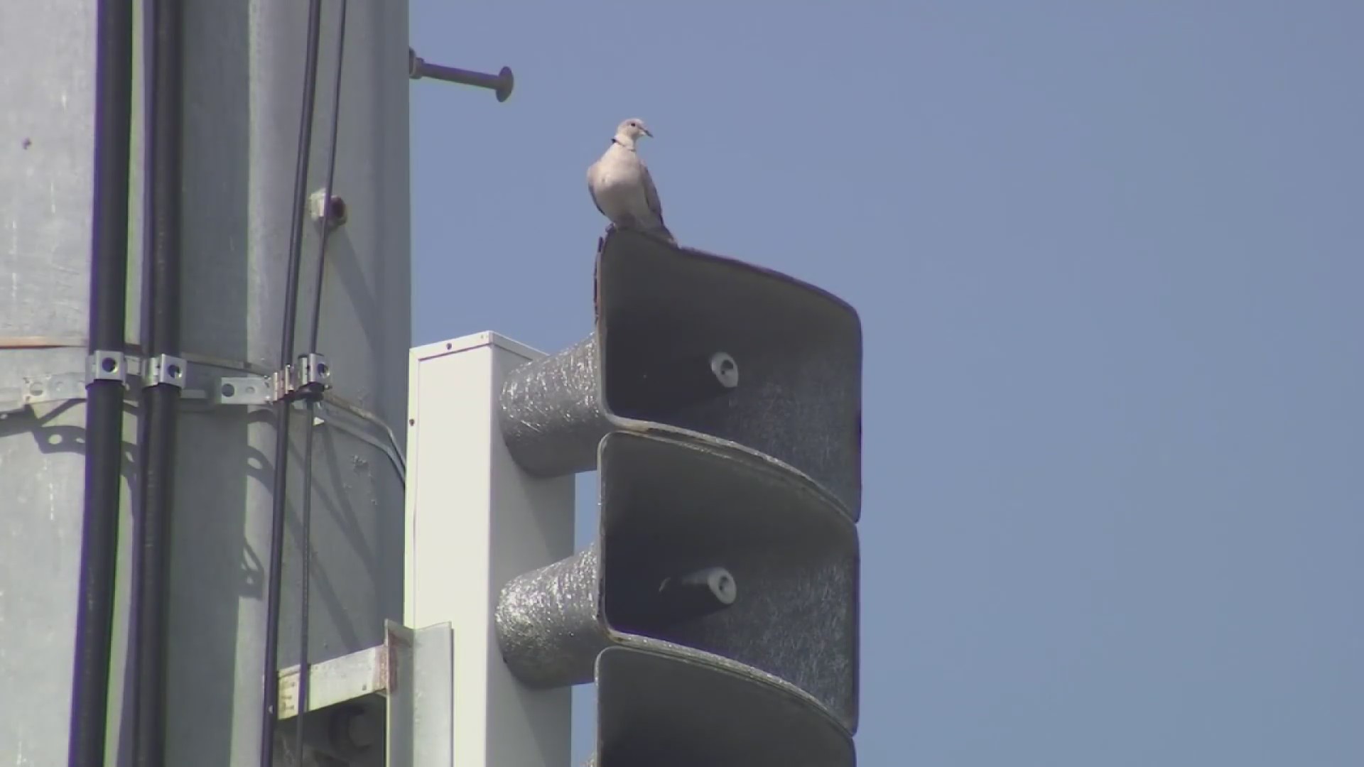 Hurricane sirens installed in Florida community – WAVY.com