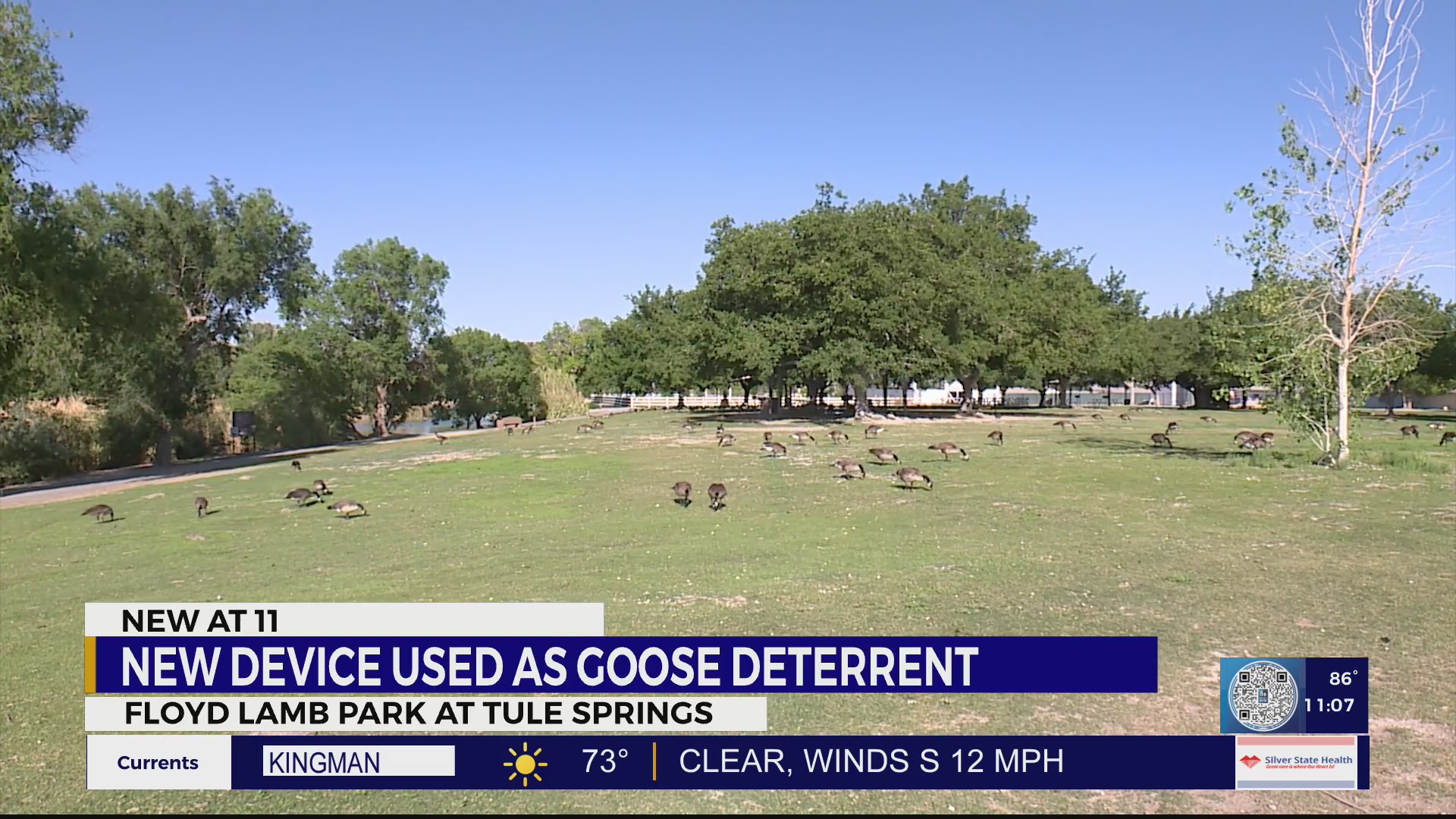 ‘Goose busters’ installed at Las Vegas park to deter nearby geese – KLAS