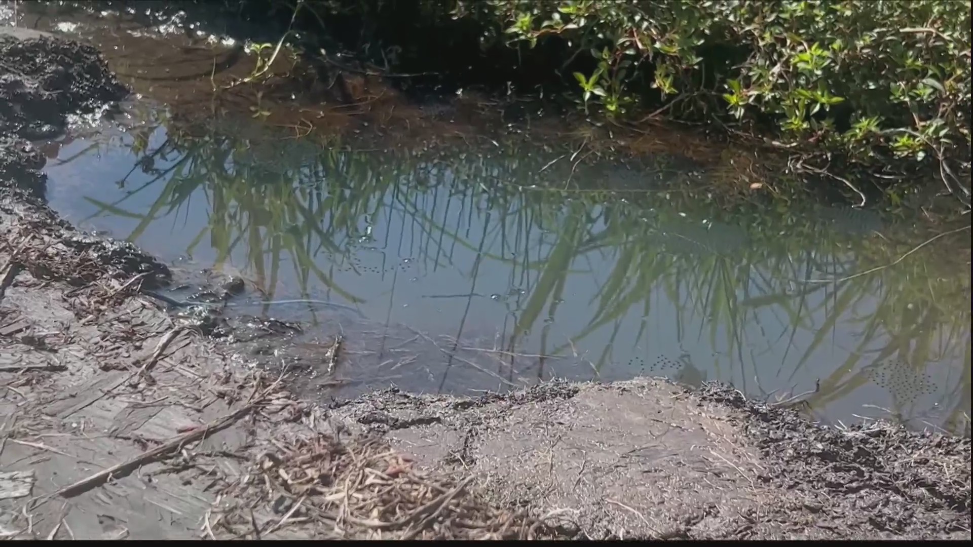 Homeowner asks for help with leaky pipe and hole in yard – WSAV-TV