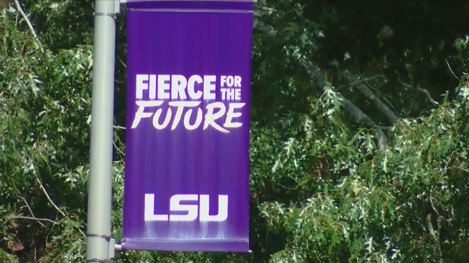 LSU fraternity suspended after hazing allegations set to rejoin Greek ...