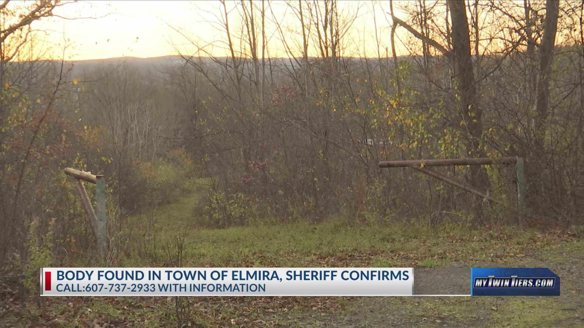 Human remains found in Town of Elmira, Sheriff confirms – WETM – MyTwinTiers.com