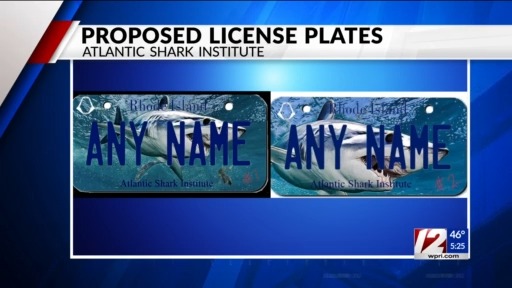 VOTE: Help choose shark license plate to benefit RI researchers – WPRI.com