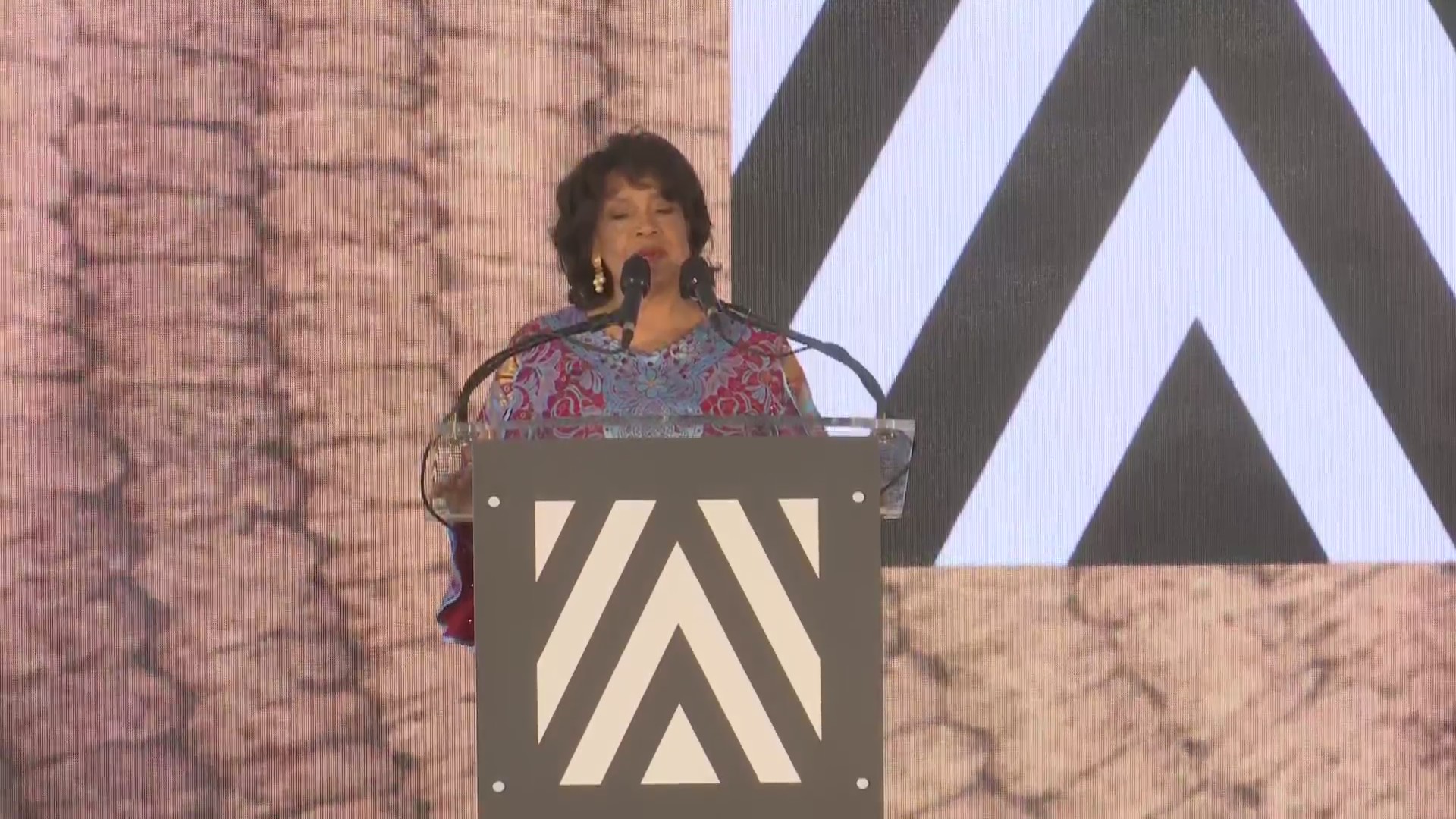 Phylicia Rashad opens International African American Museum dedication ...