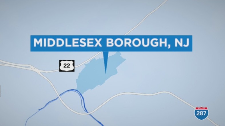 Alligator spotted in New Jersey brook: police – NewsNation
