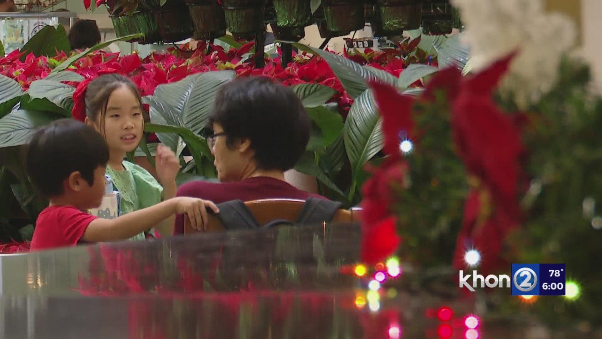 Last-minute holiday shoppers make malls busier than ever – KHON2