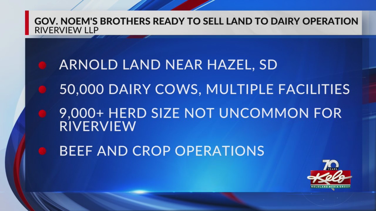 Riverview has thousands of cows in South Dakota – KELOLAND.com