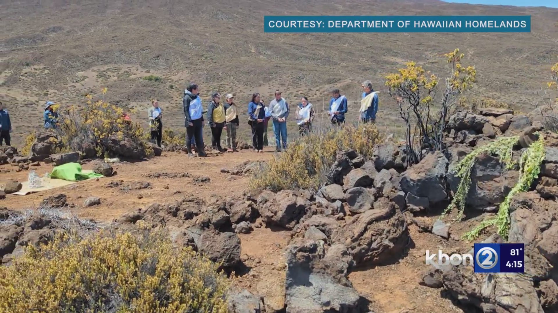 Installation of cat-proof fence will protect nesting ʻuaʻu in Mauna Kea ...