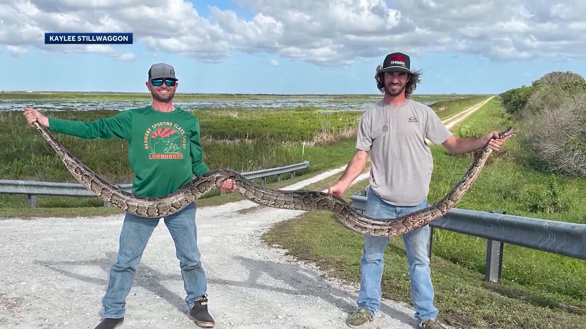 Florida gator hunters catch 12-foot Burmese python – WFLA