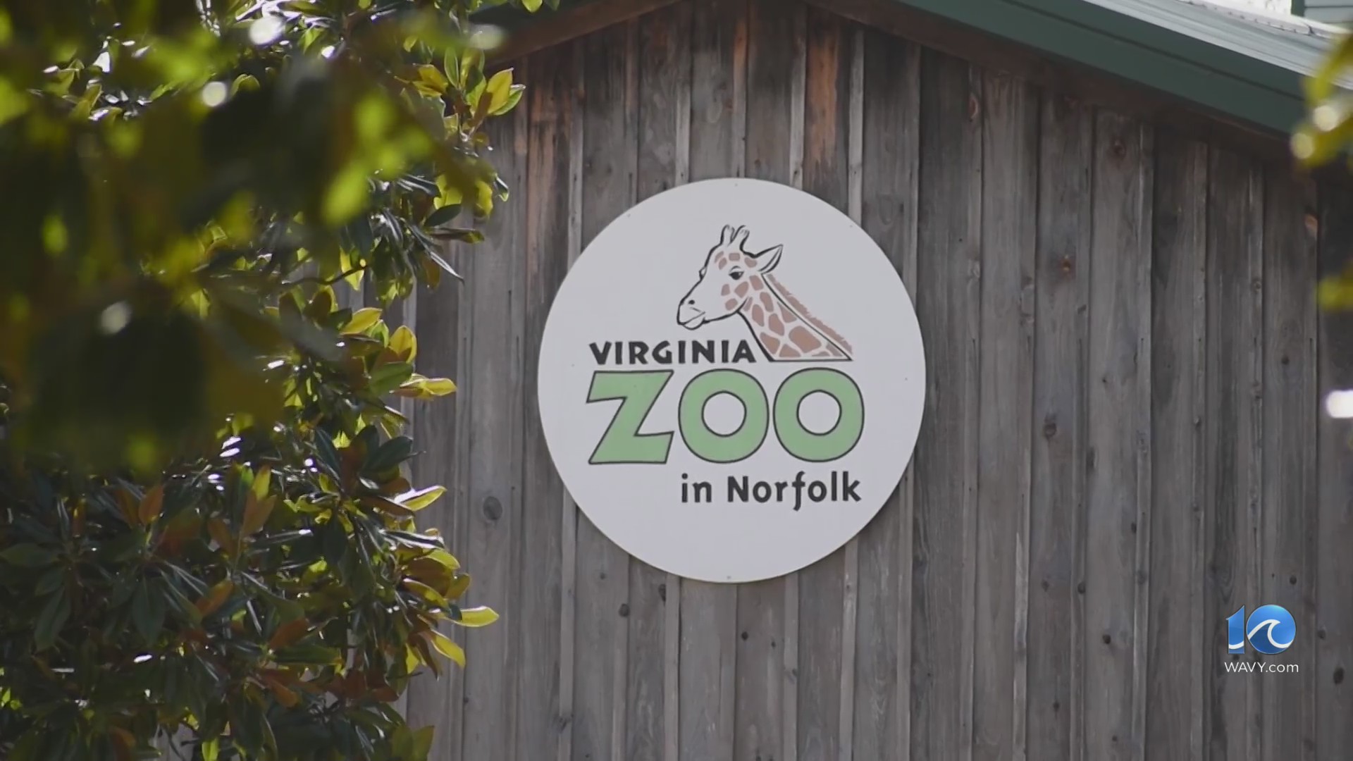 New ‘poo’ grant to help Virginia Zoo reduce waste – WAVY.com