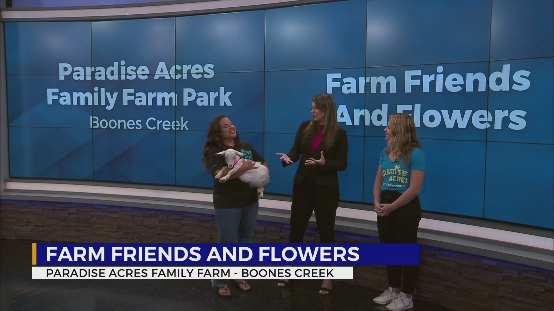 Paradise Acres Family Farm Park hosting Farm Friends and Flowers this ...