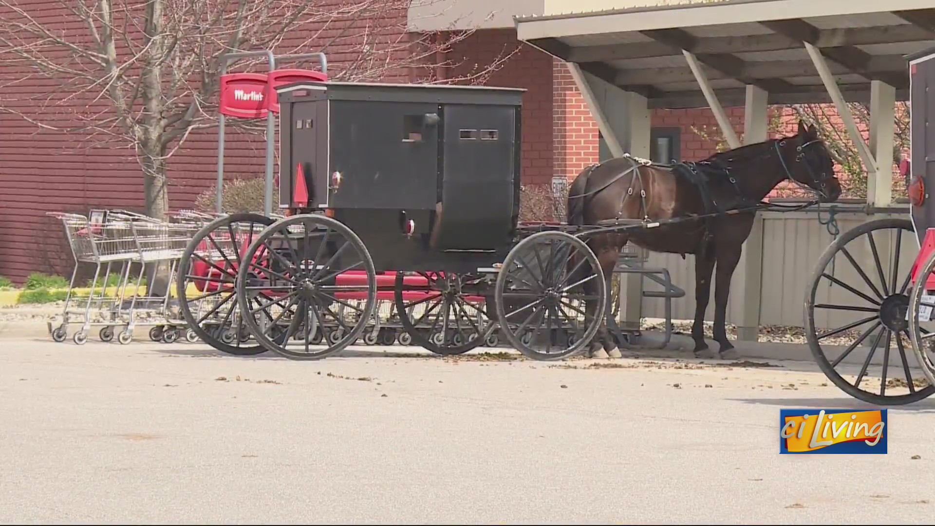 CI Living Joseph Yoder Shares his story – WCIA.com