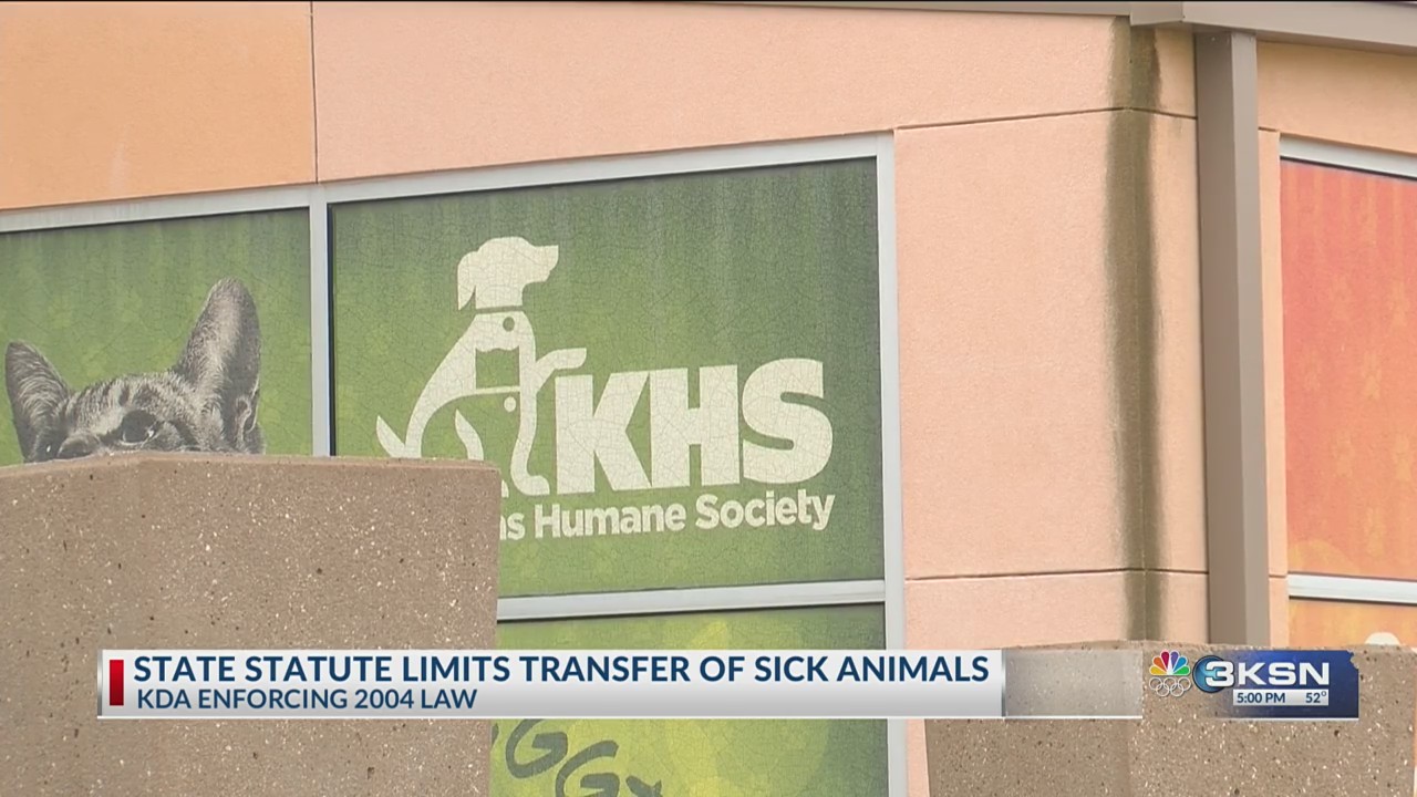 Kansas Humane Society could be forced to euthanize more animals – KSN-TV