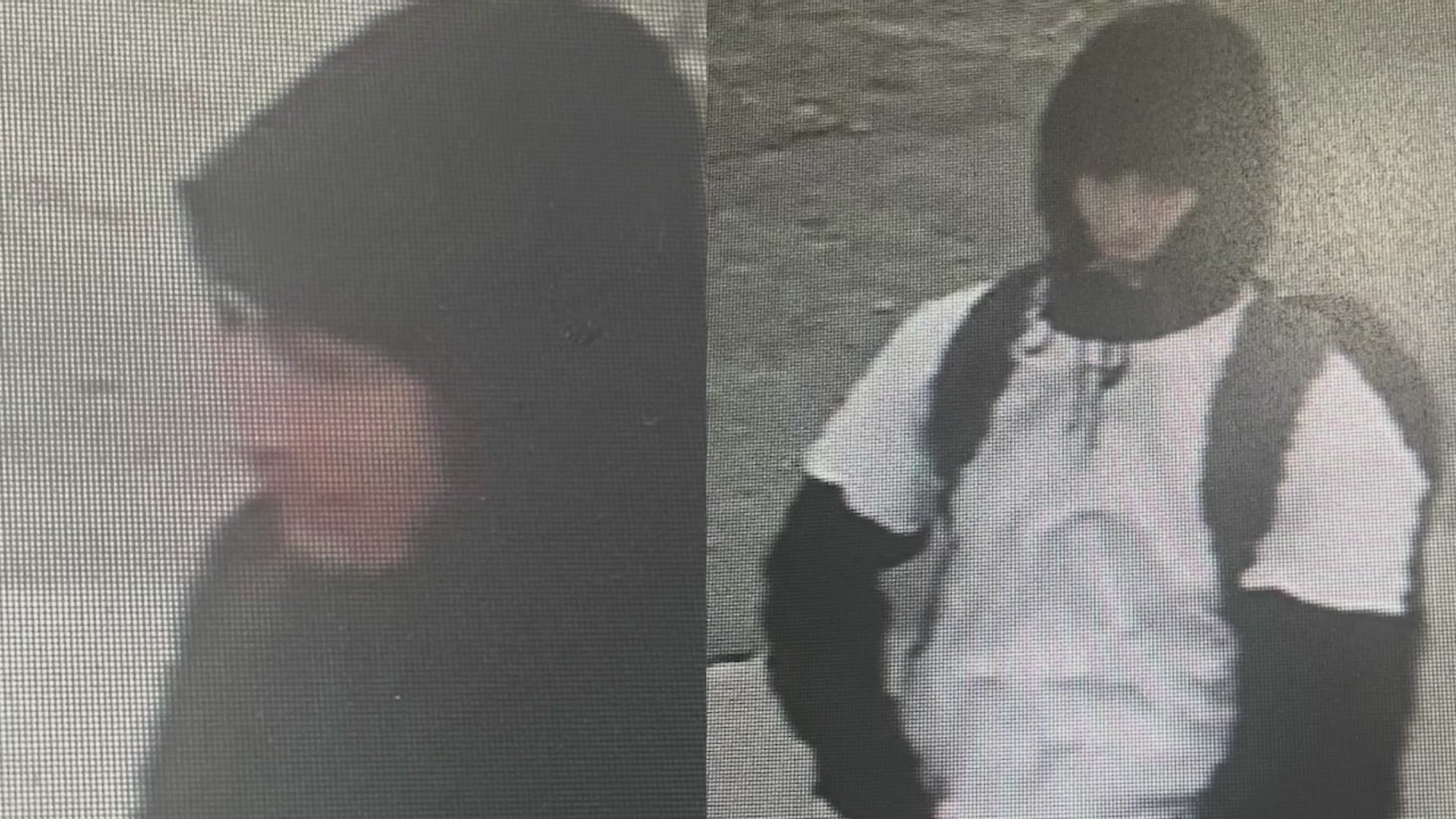 Thornton truck thieves shoot at man trying to stop them – FOX31 Denver