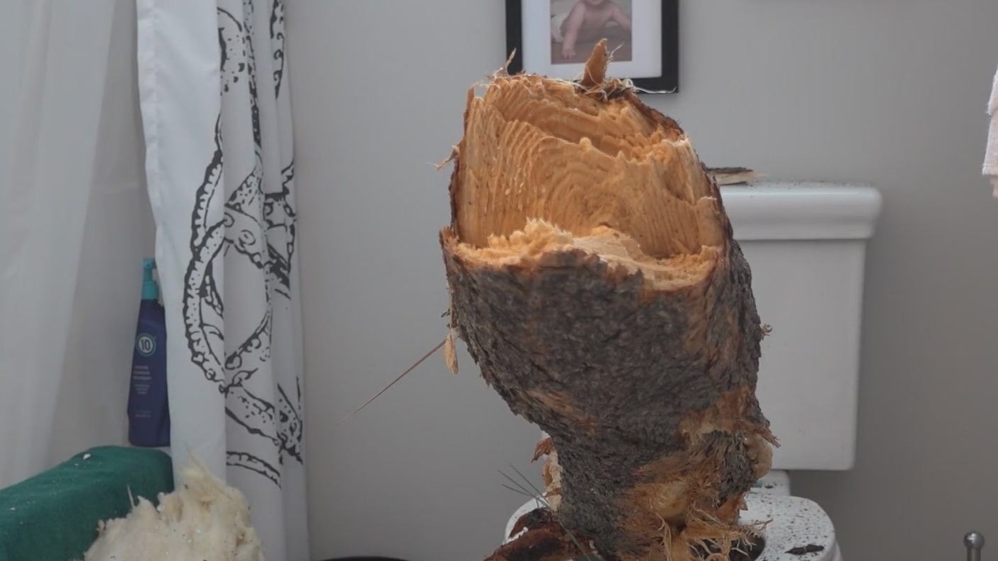Fallen tree limb lands in Bend toilet – KOIN.com
