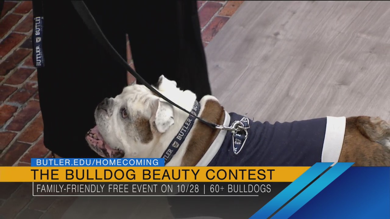 Indy Now, October 25th: Butler University Bulldog Beauty Contest – Fox 59