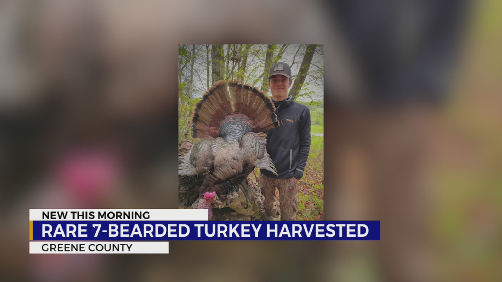 Rare 7-bearded turkey harvested in Tennessee – WKRN News 2