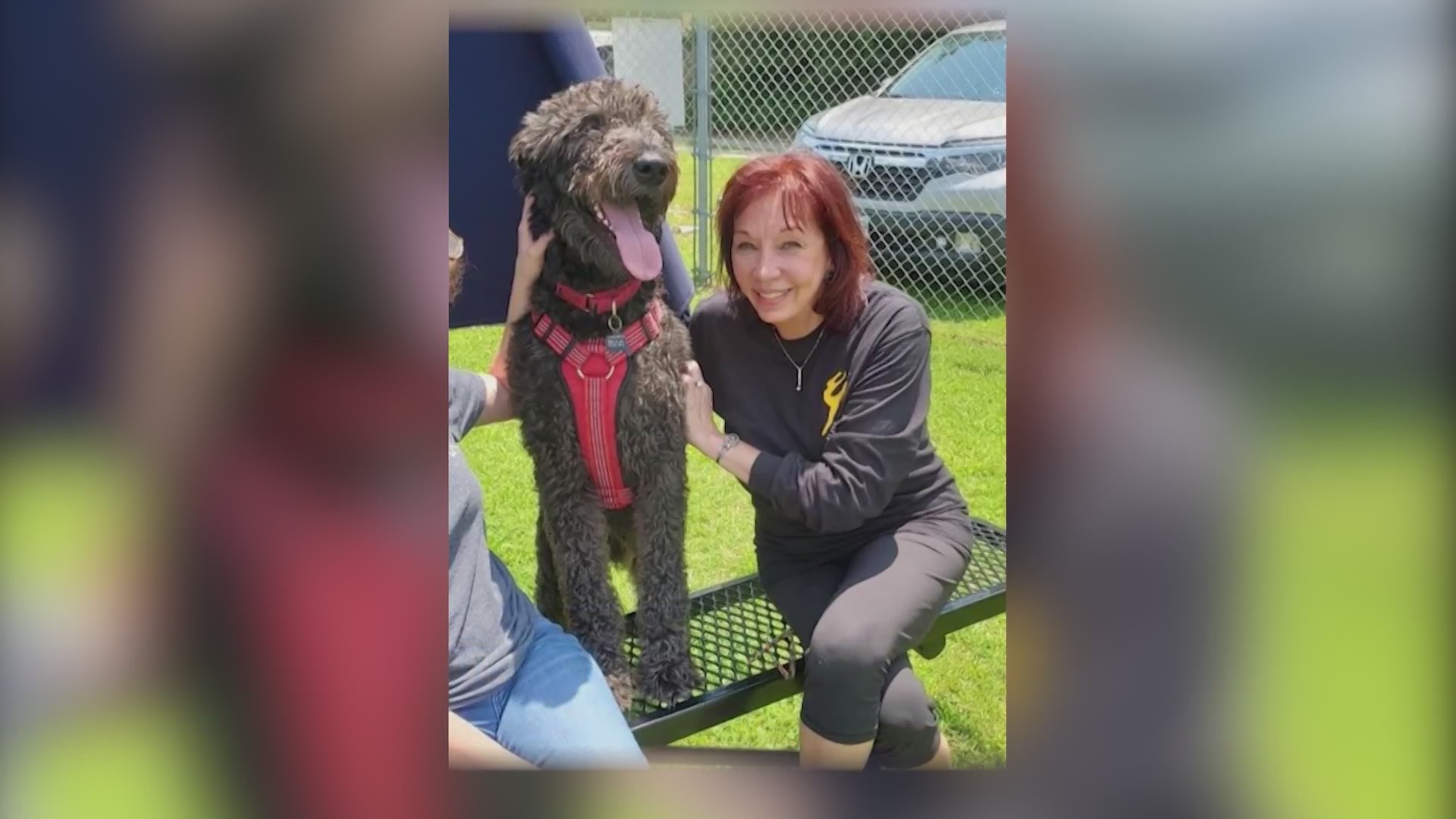 VB dog’s killer still at large, family hires investigator to get clues ...
