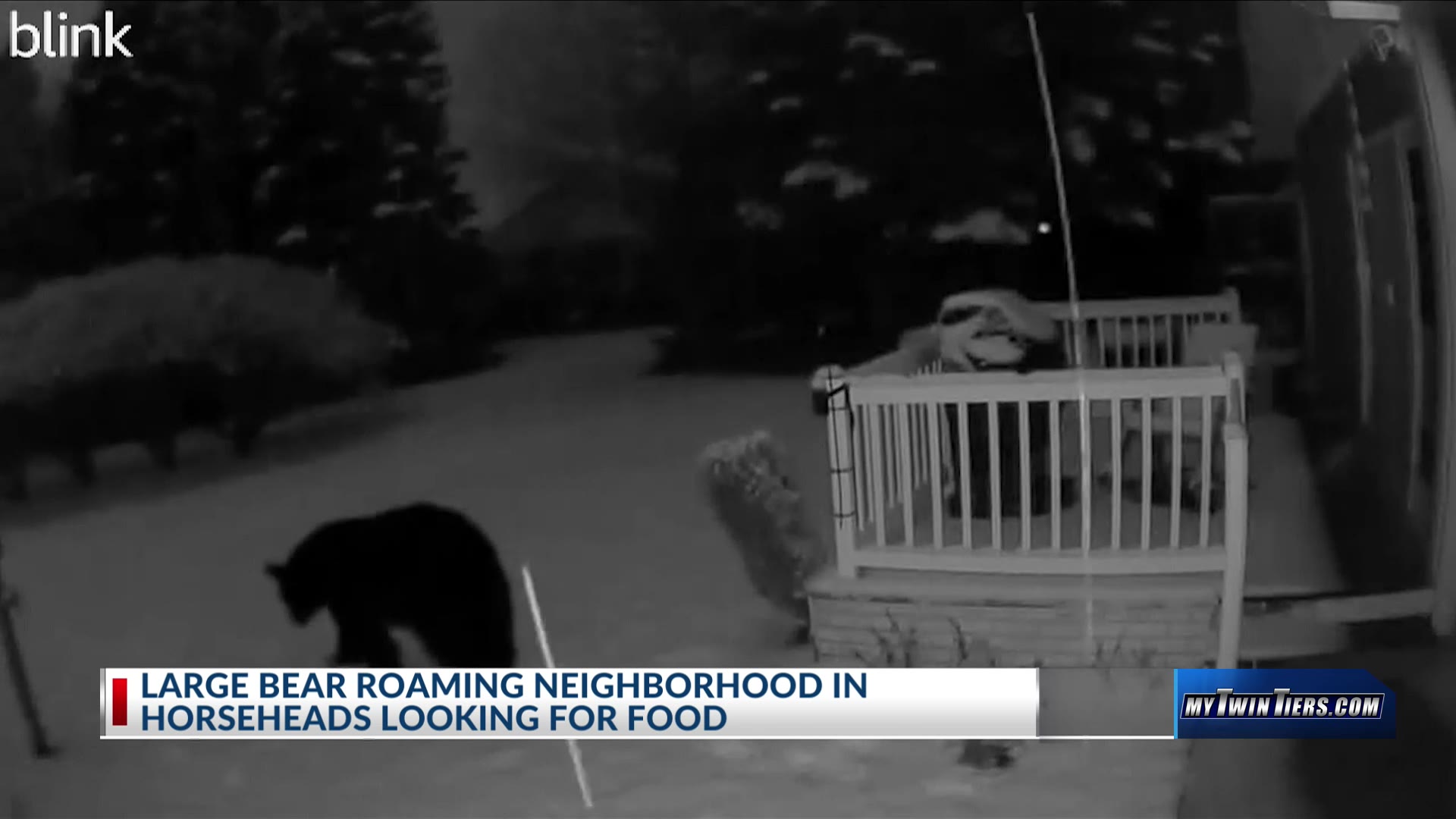 Bear roaming neighborhood in Horseheads – WETM – MyTwinTiers.com
