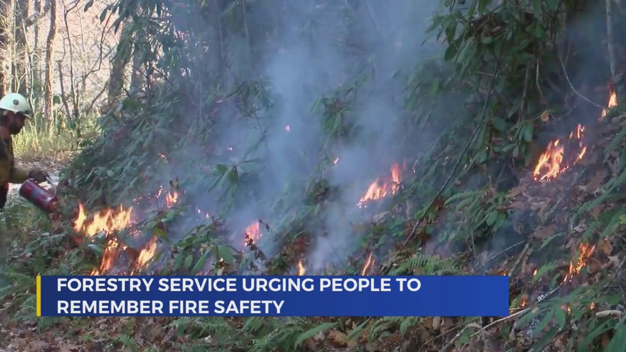 U.S Forest Service continue prescribed burns ahead of dry conditions ...