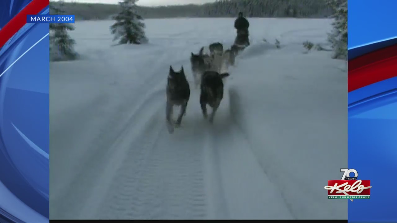 Flashback Friday: SD dog team running the Iditarod – KELOLAND.com