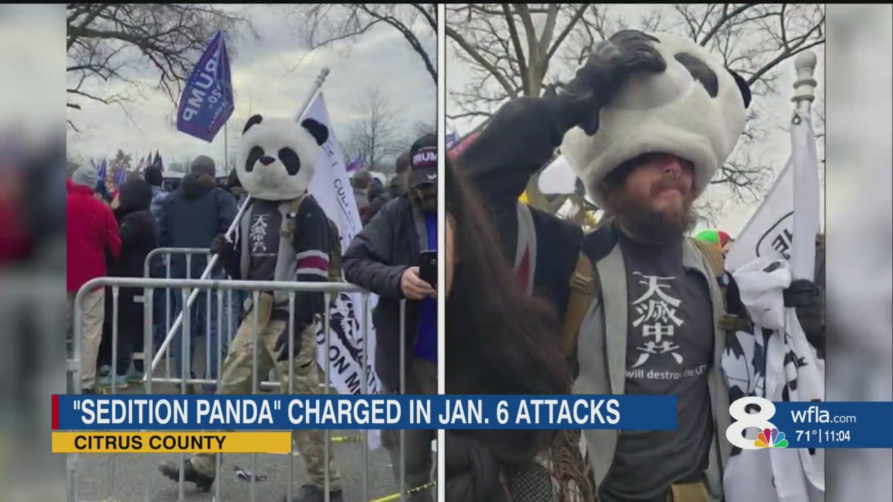 Florida man known as ‘Sedition Panda’ arrested for allegedly storming ...