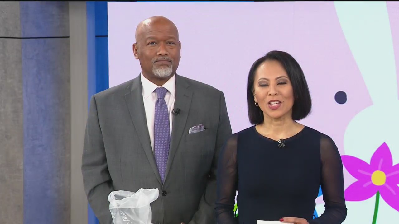 Easter treats from baking queen Danielle Sepsy – PIX11