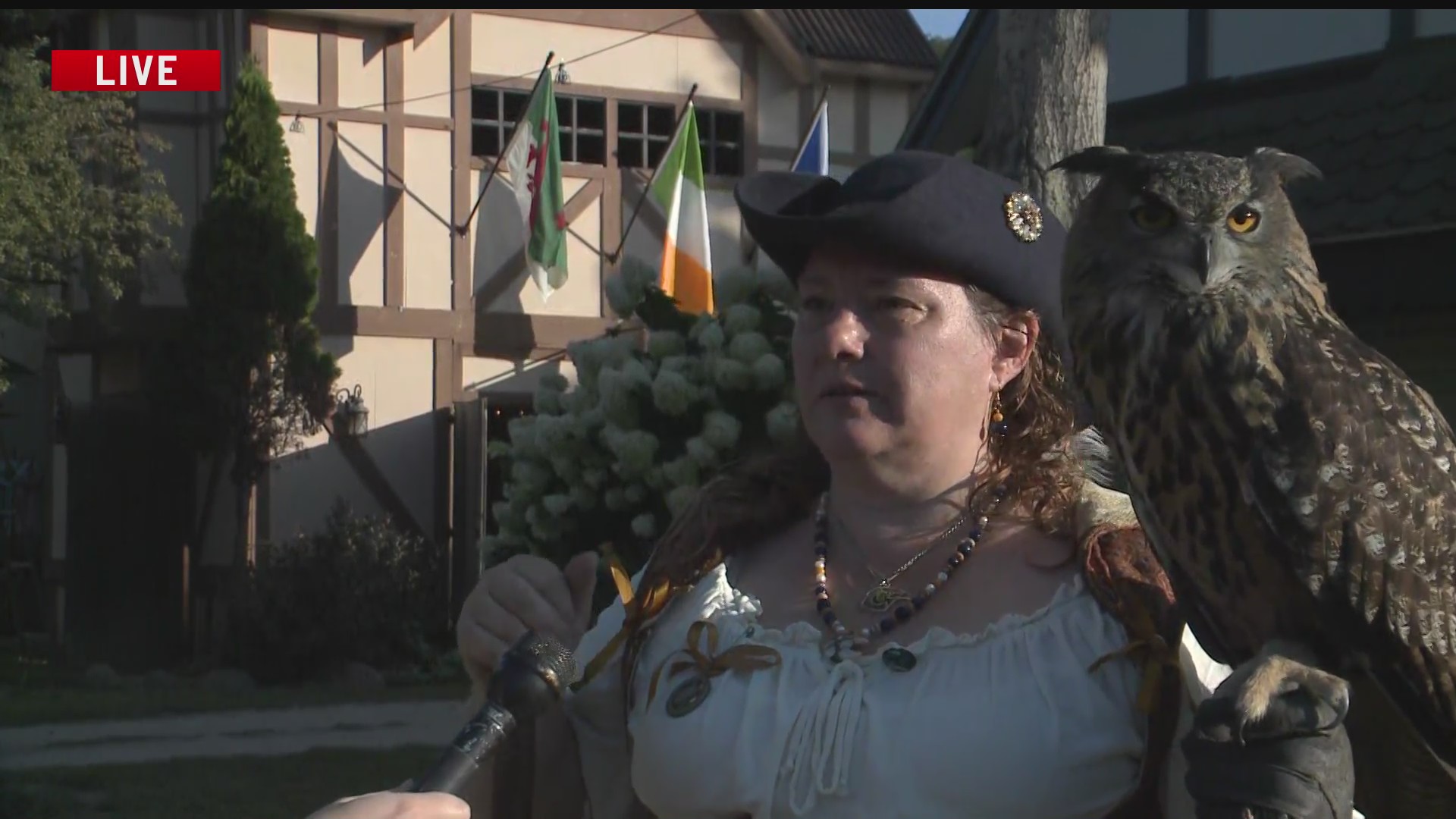 Regalia International Birds of Prey at the Sleepy Hallow Renaissance ...