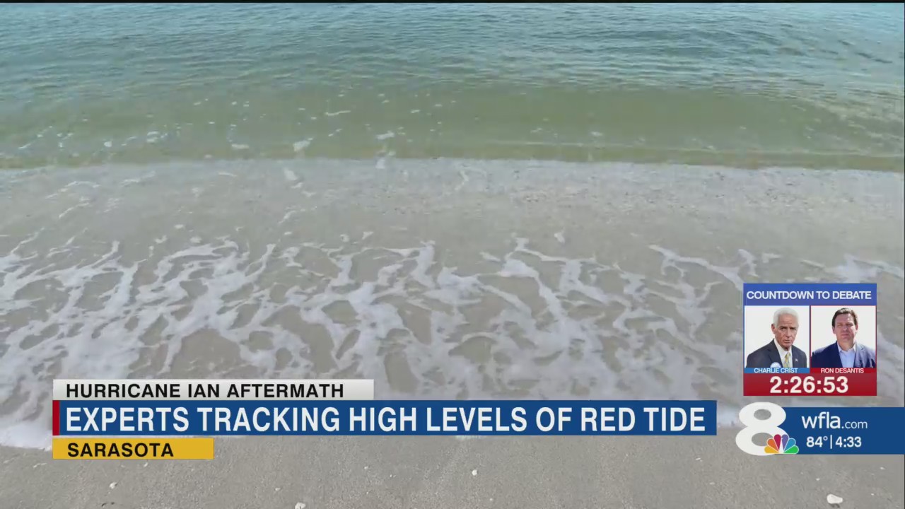 Elevated levels of red tide impact Sarasota’s south county beaches – WFLA