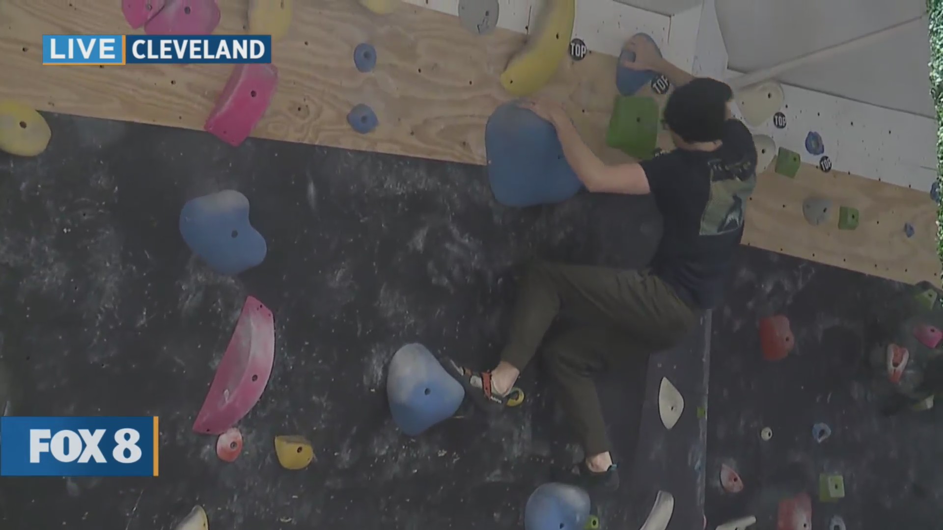 New Day Cleveland: Nosotros Rock Climbing Gym – Fox 8 Cleveland WJW