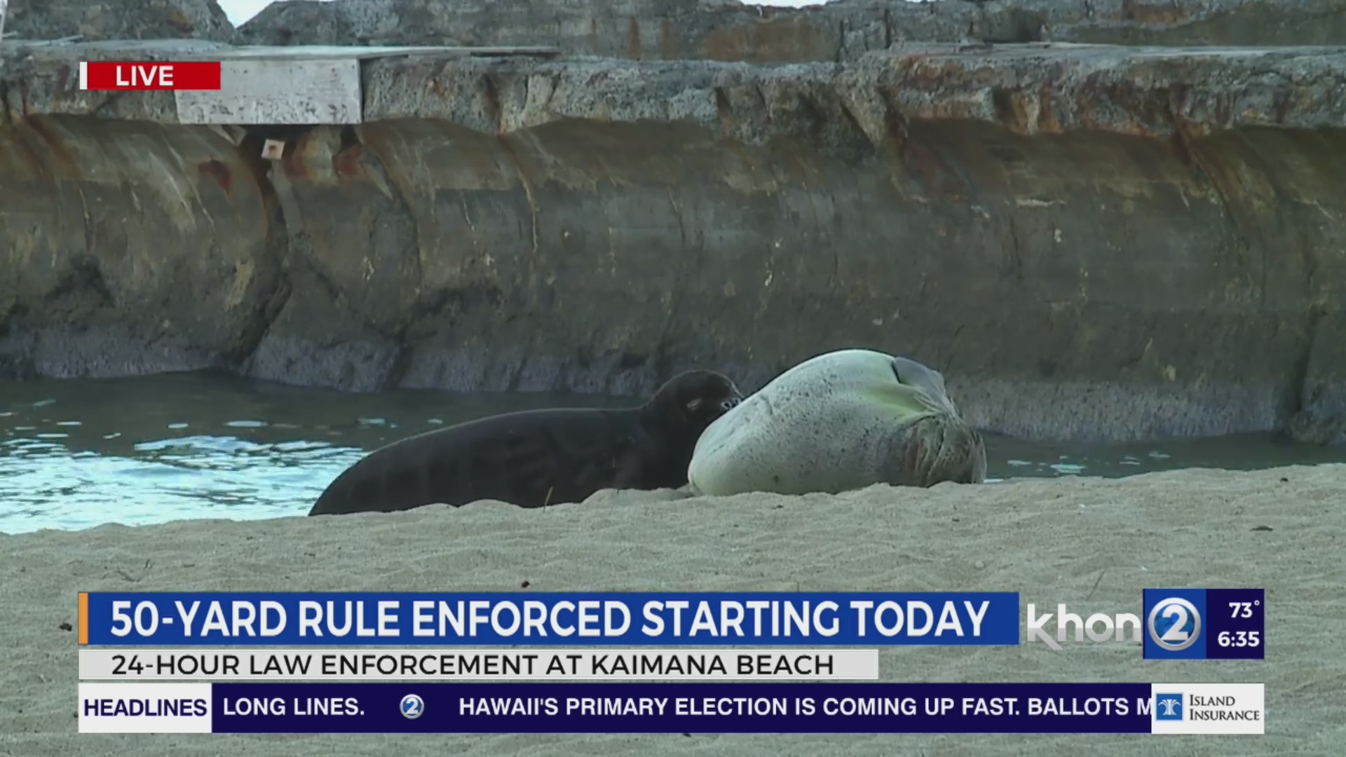 DLNR adds extra enforcement around Hawaiian Monk Seals – KHON2