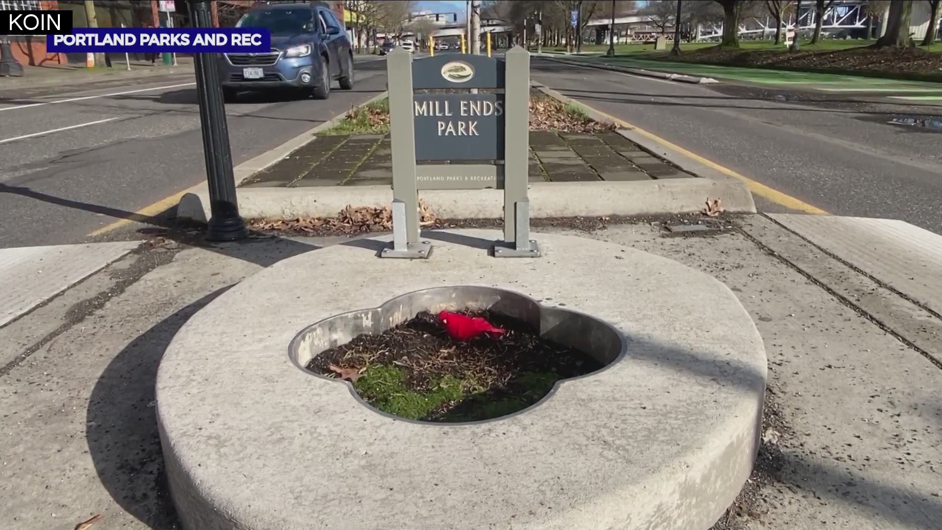 Tree goes missing from the world’s smallest park in Portland – KOIN.com