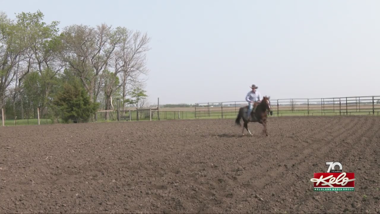 Relentless Rodney’s recovery – KELOLAND.com