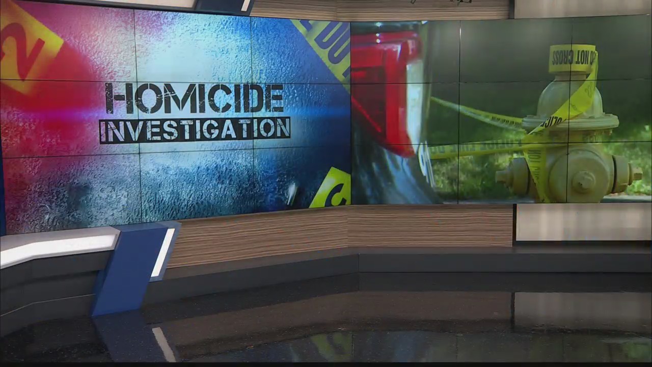 Man accused in Delaware double homicide taken into custody – NBC4 WCMH-TV