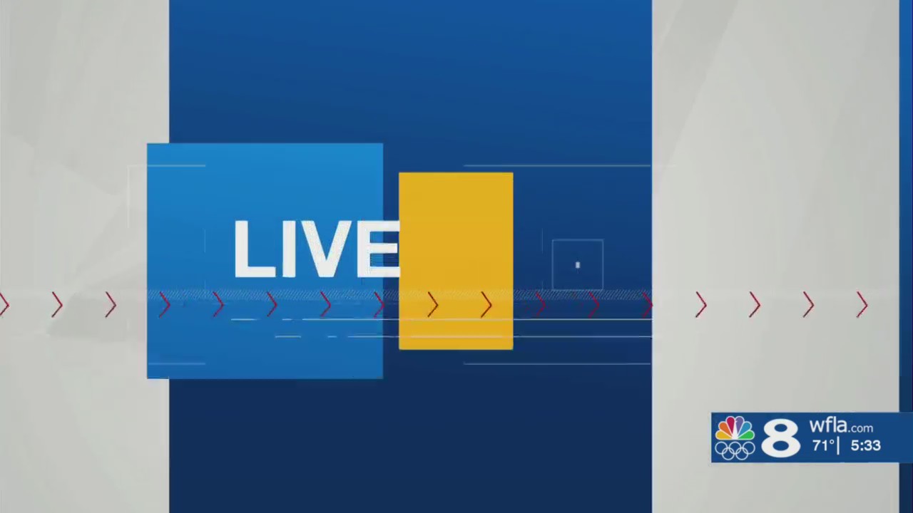 St. Pete City Council prepares for upcoming decision on Historic Gas Plant Redevelopment – WFLA