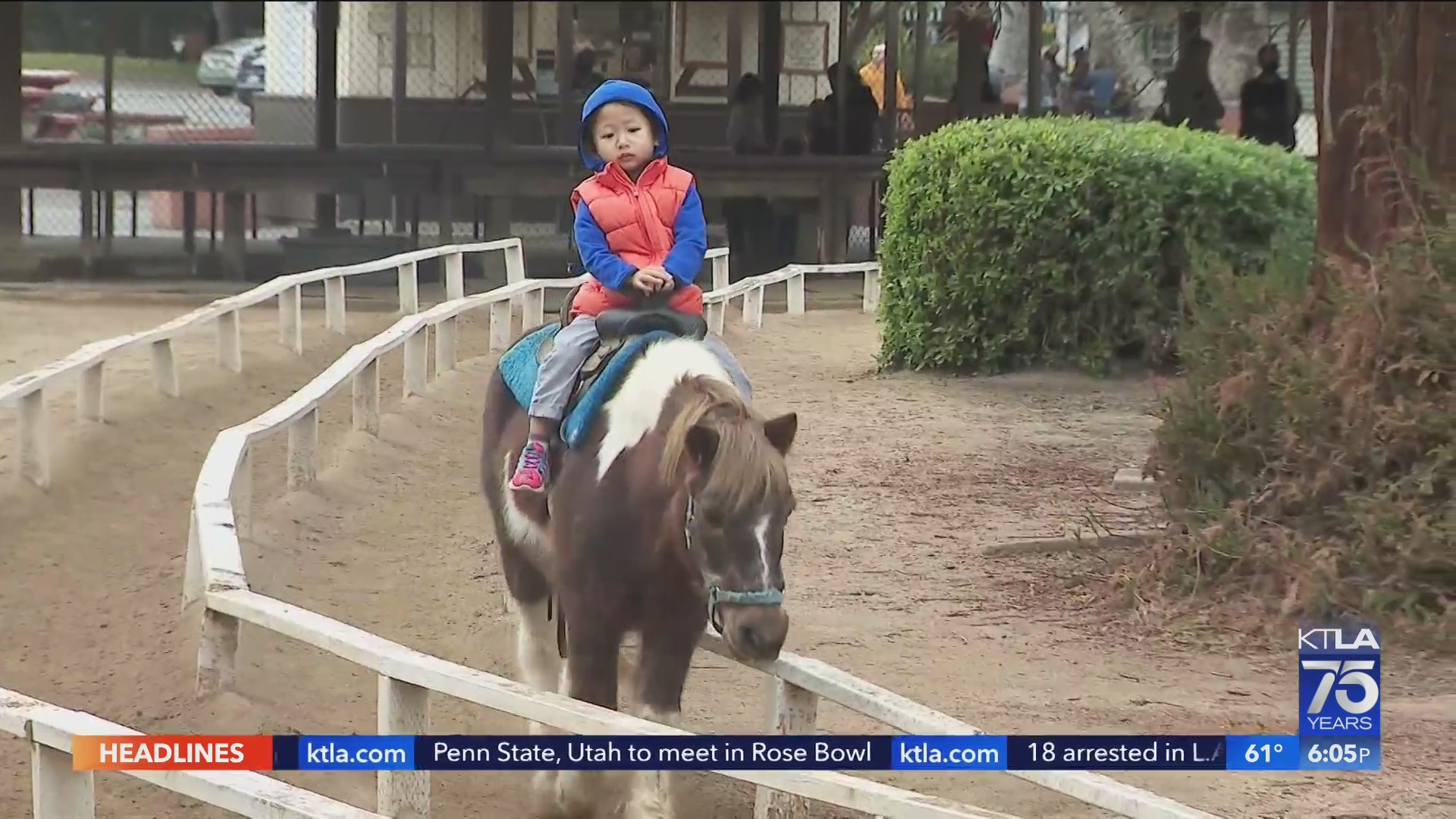 Griffith Park pony rides closing – KTLA