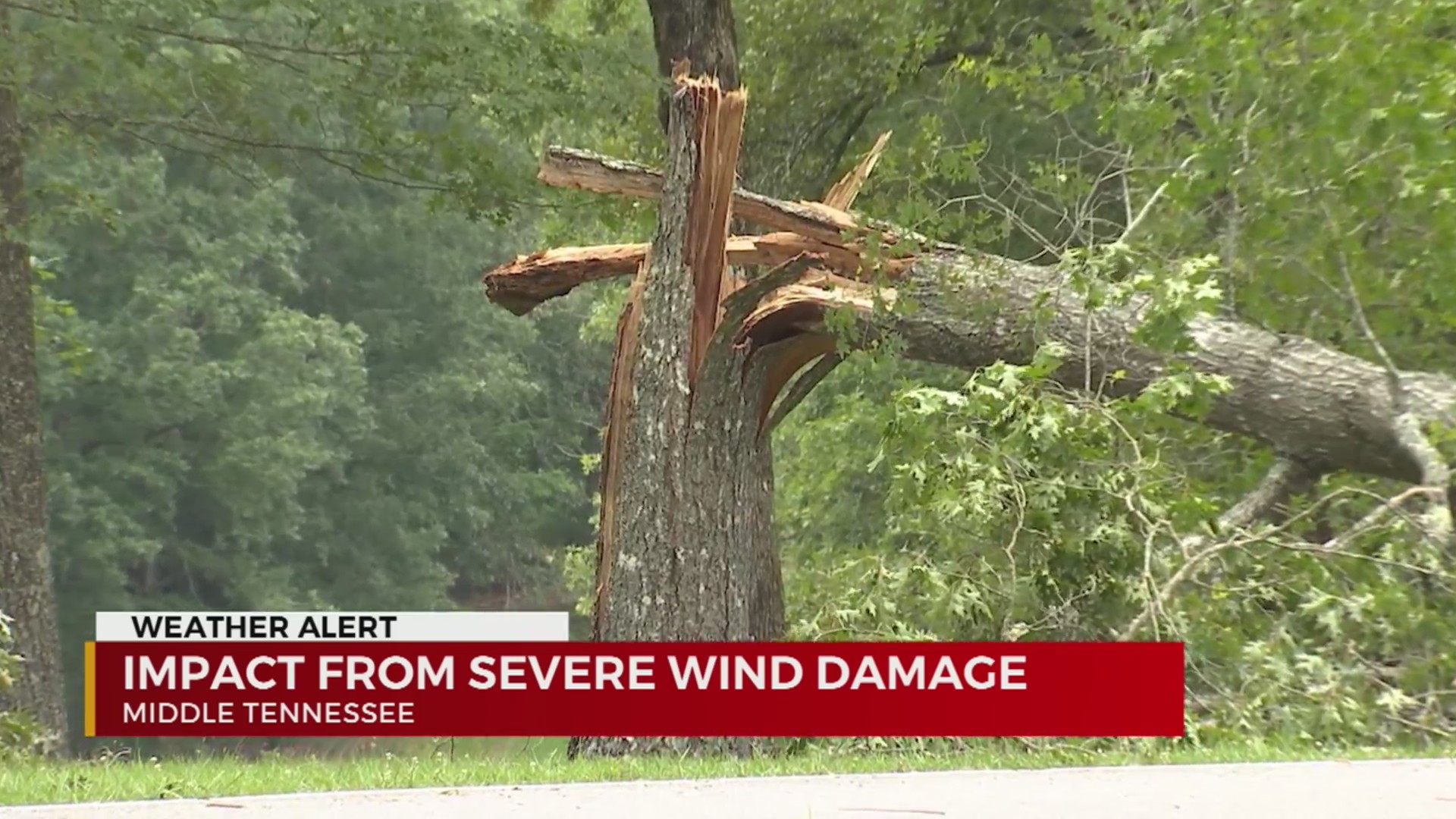 Impact from severe wind damage in Tennessee – WKRN News 2