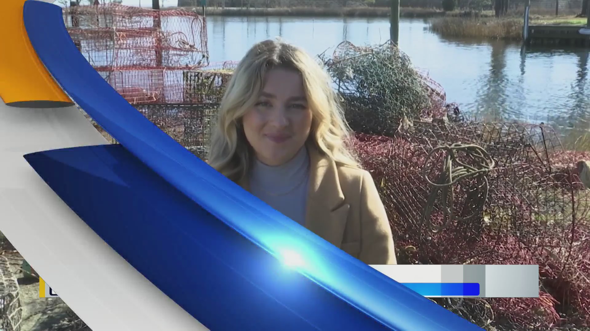 Pitt Co. is looking to keep the streets clean in new litter campaign – WNCT