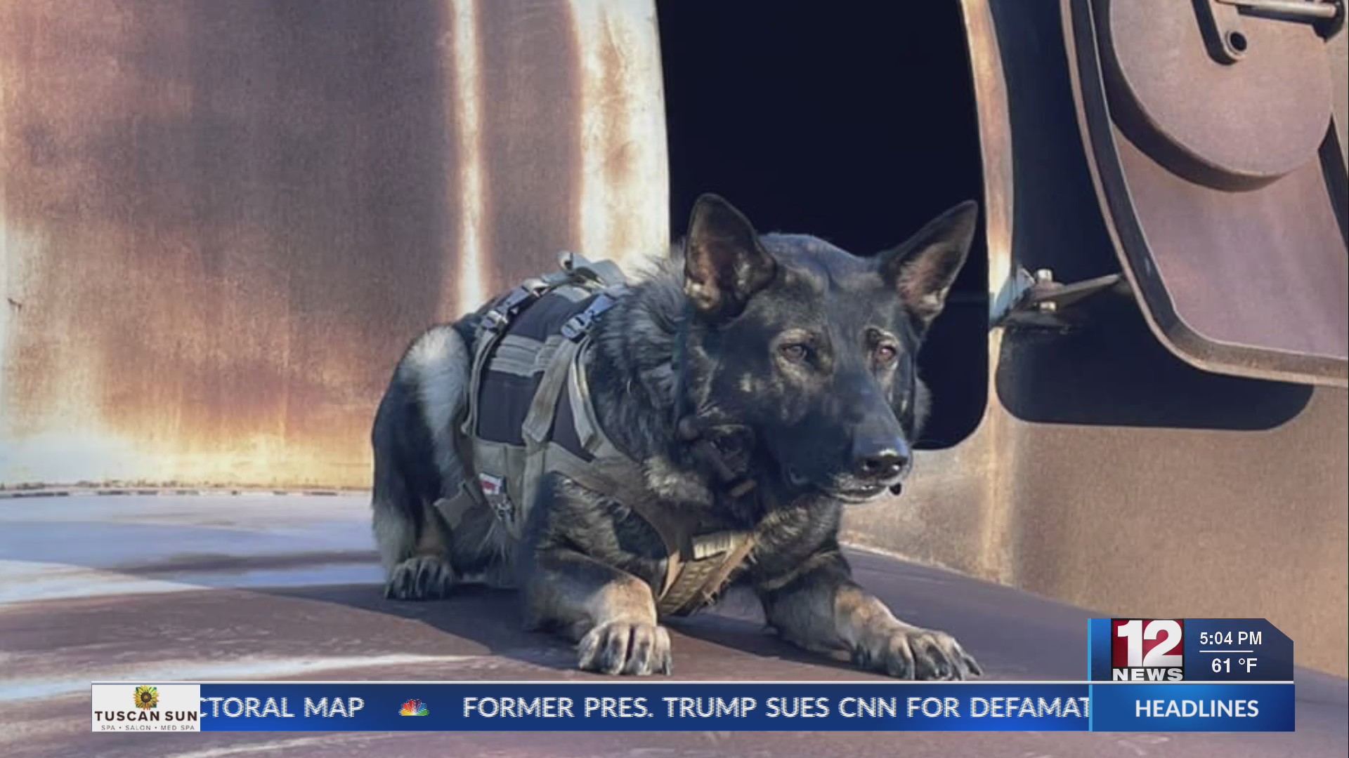 K9 ‘Ion’ receives special training – WBOY.com