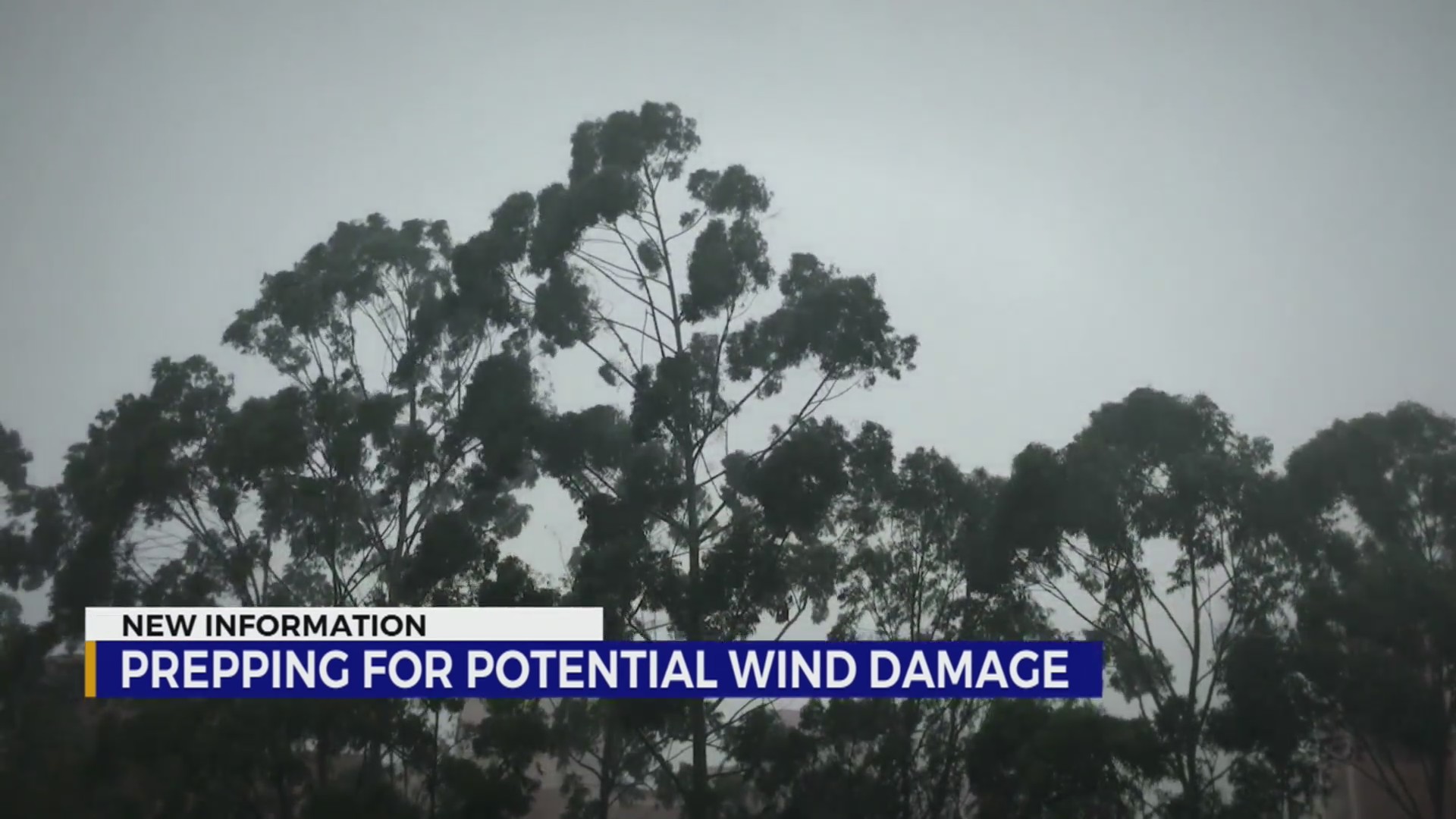 Preparing for potential wind damage – WKRN News 2