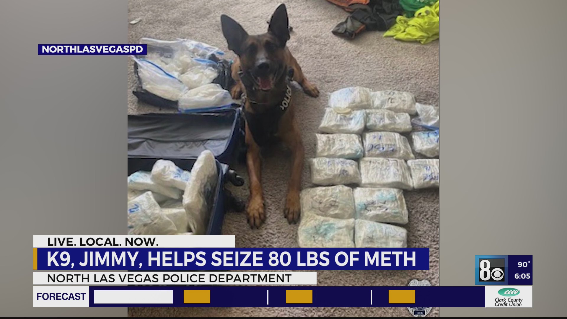 North Las Vegas K9 assists in drug bust, 80 pounds of meth seized – KLAS
