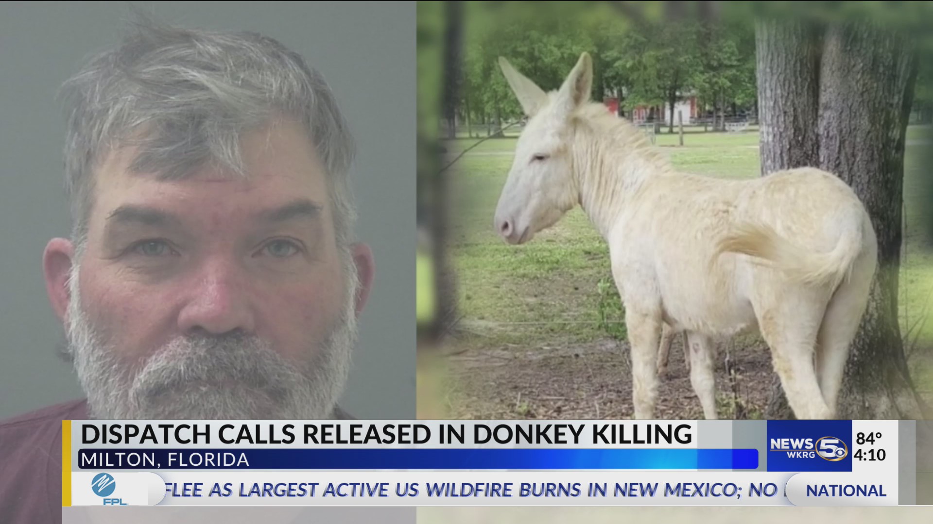 Dispatch calls released in donkey killing – WKRG News 5