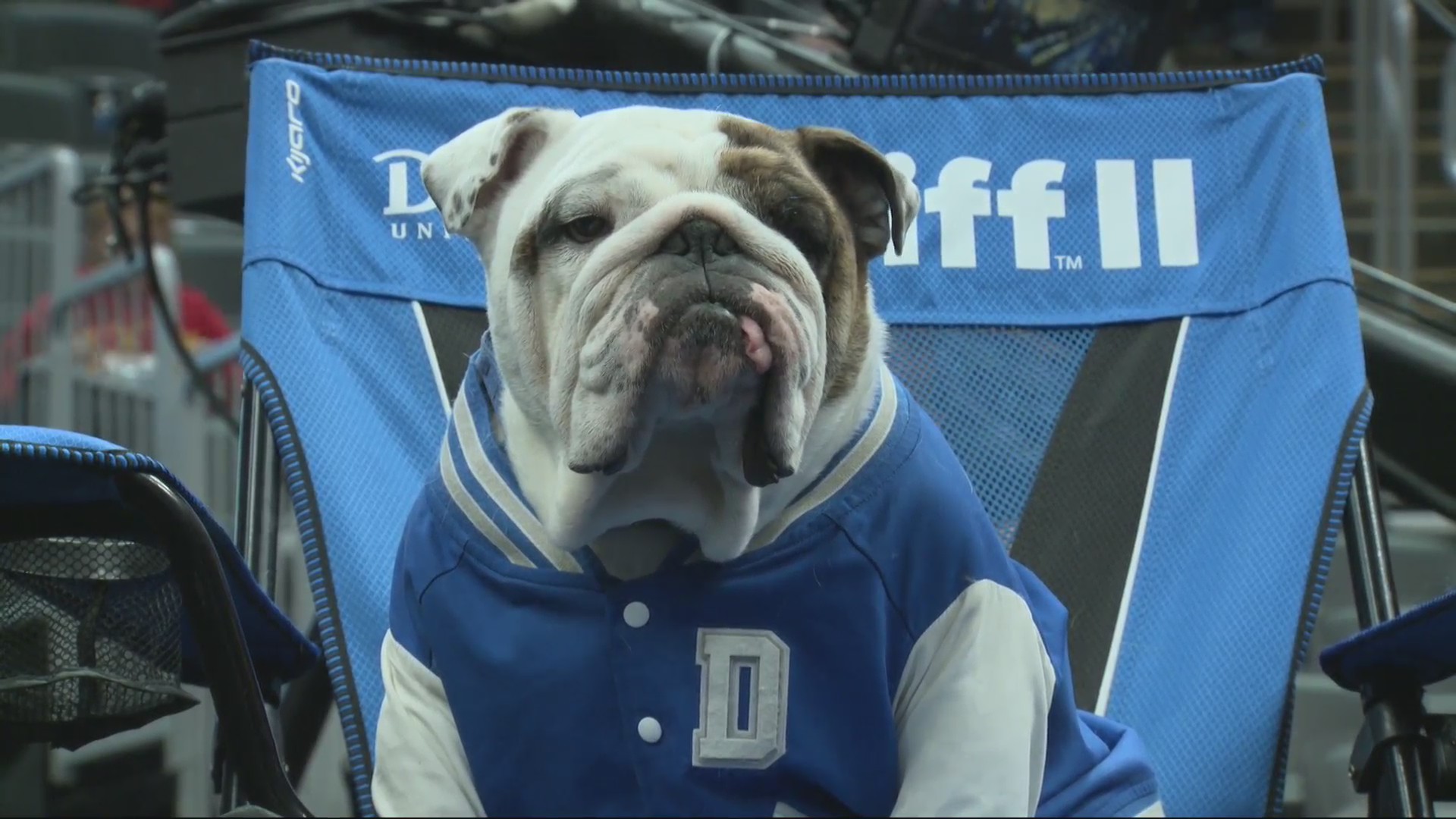 Number one Drake Bulldogs fan makes history at Arch Madness – who13.com