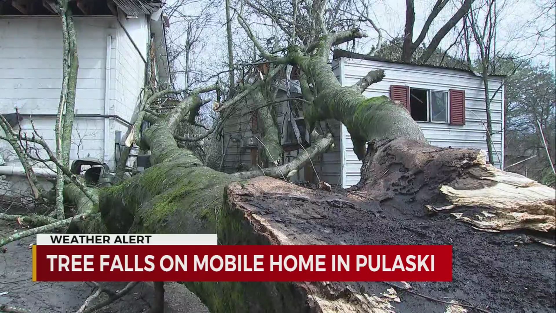 Pulaski woman rescued from trailer after tree falls onto it during ...