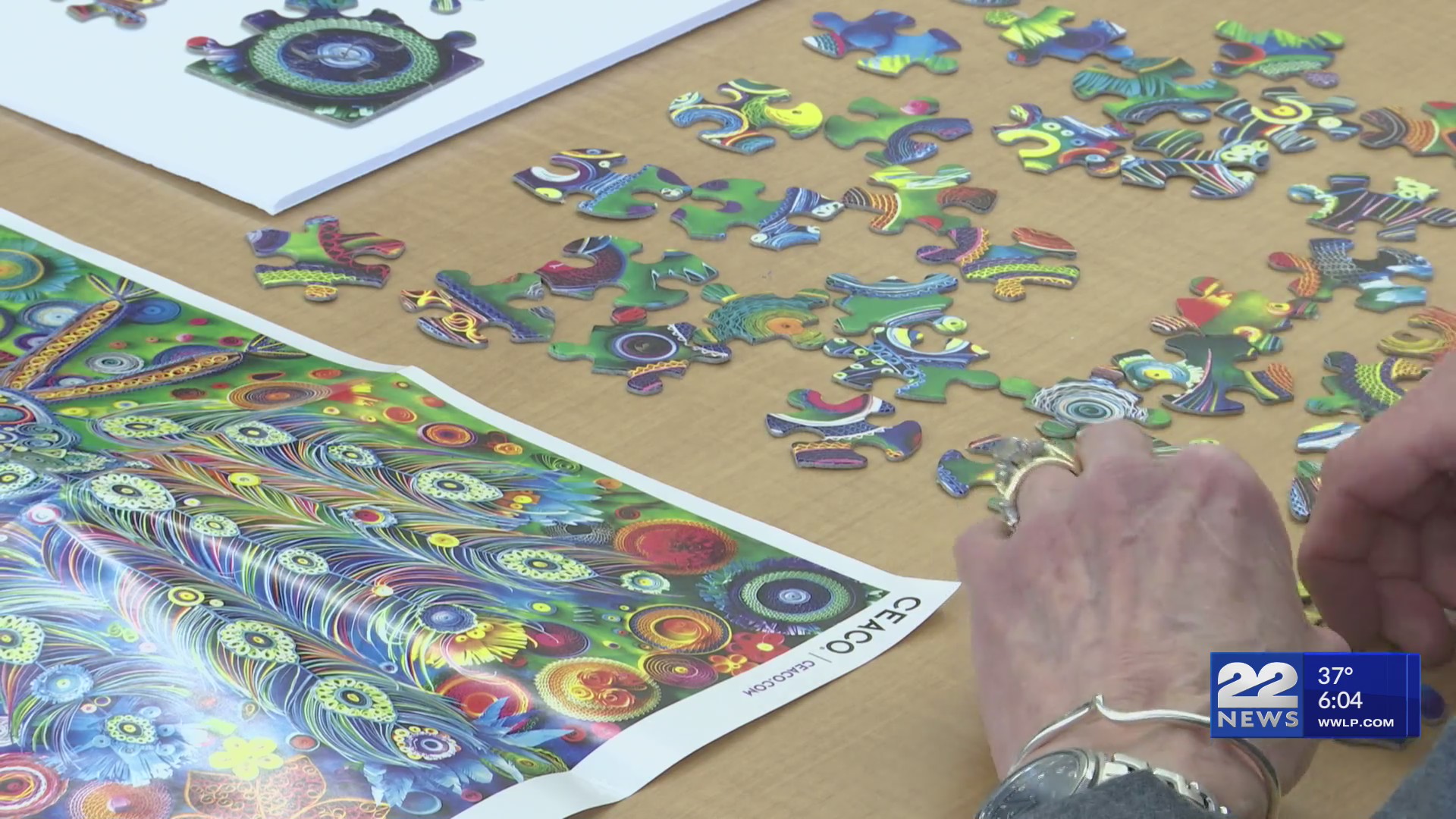 West Springfield Public Library hosts it’s first annual puzzle ...