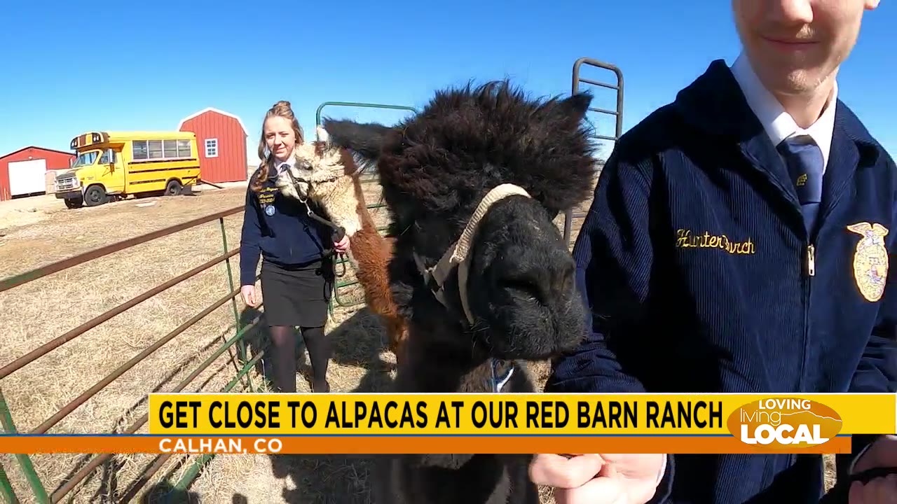 Our Red Barn Ranch (2) – We Are Eastern Plains – FOX21 News Colorado