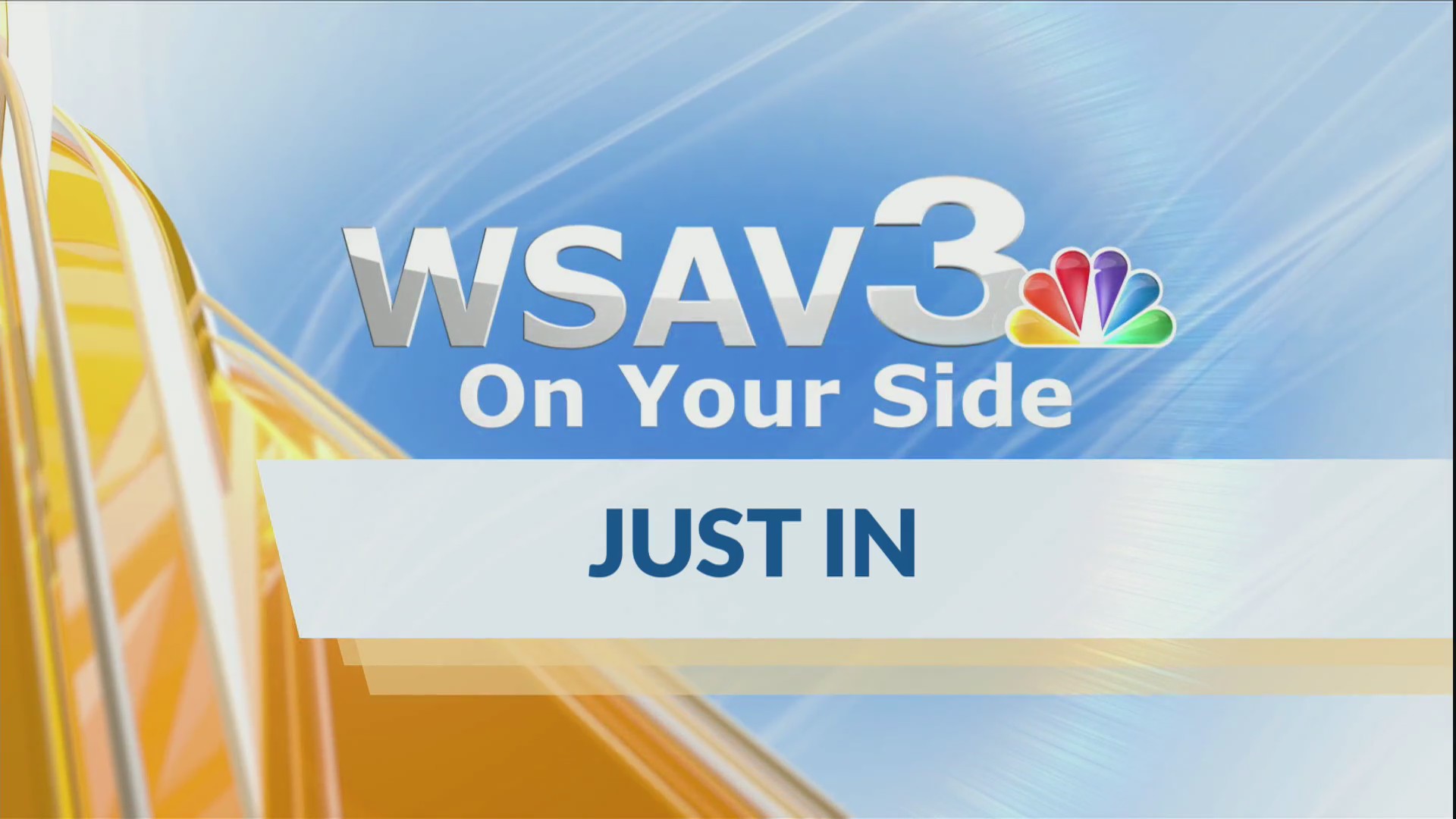 Remains believed to be missing man – WSAV-TV